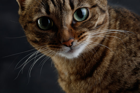 Hhmm Bilder – Durchsuchen 8 Archivfotos, Vektorgrafiken und Videos ...