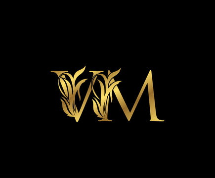 Imágenes de Vm: descubre bancos de fotos, ilustraciones, vectores y ...