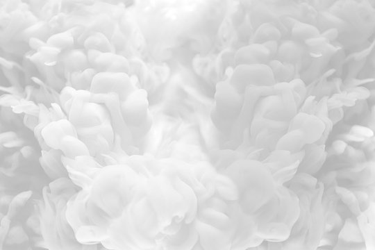 "Monotone Background" Images – Browse 218 Stock Photos, Vectors, and ...