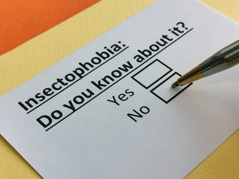 Insectophobia Bilder – Durchsuchen 461 Archivfotos, Vektorgrafiken und ...