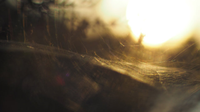 "Flou Artistique"-Bilder: Stock-Fotos & -Videos. | Adobe Stock