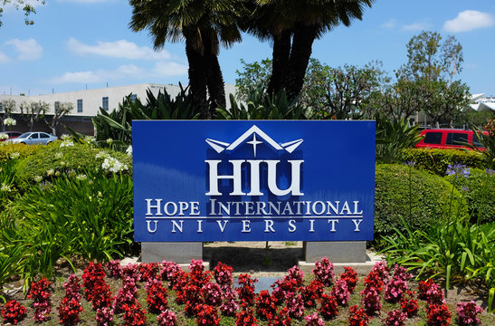 Hiu Images – Browse 125 Stock Photos, Vectors, and Video | Adobe Stock