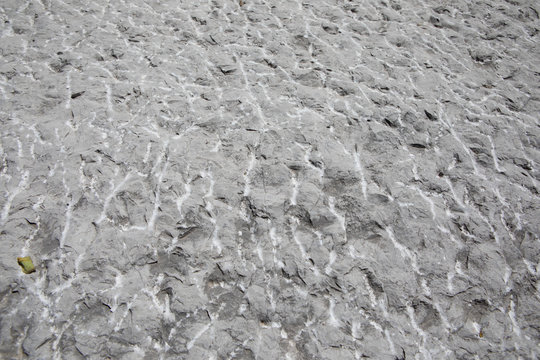 "Pierre Taillée" Images – Browse 420 Stock Photos, Vectors, and Video ...