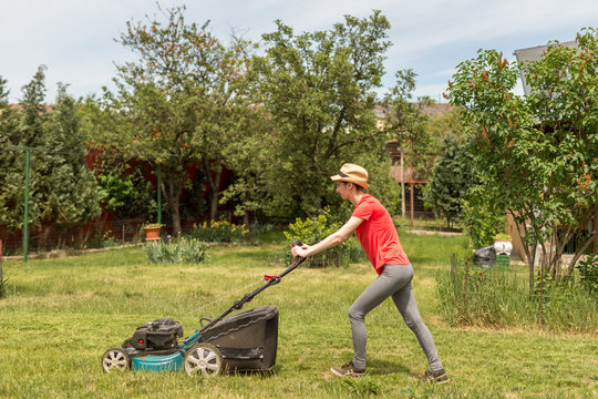 Mircea Rosca photos, images, assets | Adobe Stock