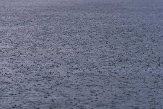 Meagerness bilder – Bläddra bland 216 stockfoton, vektorer och videor ...