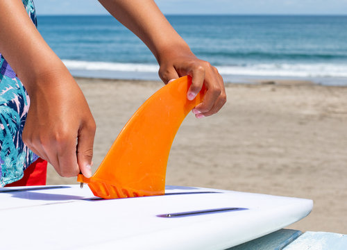 "Surf Fins" Images – Browse 58 Stock Photos, Vectors, and Video | Adobe ...