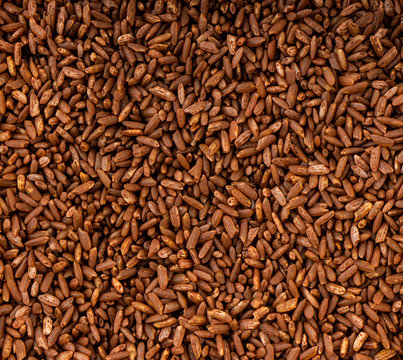 "Rough Rice" Images – Browse 193 Stock Photos, Vectors, and Video ...