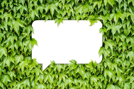 Chat Leaf Bilder – Durchsuchen 8,323 Archivfotos, Vektorgrafiken und ...