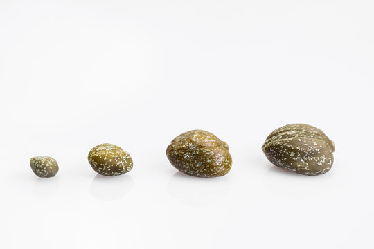 Kapers bilder – Bläddra bland 397 stockfoton, vektorer och videor ...