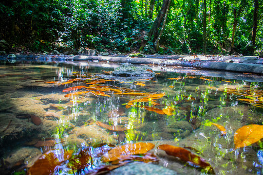 รูปภาพArrollo – เลือกดูภาพถ่ายสต็อก เวกเตอร์ และวิดีโอ238 | Adobe Stock