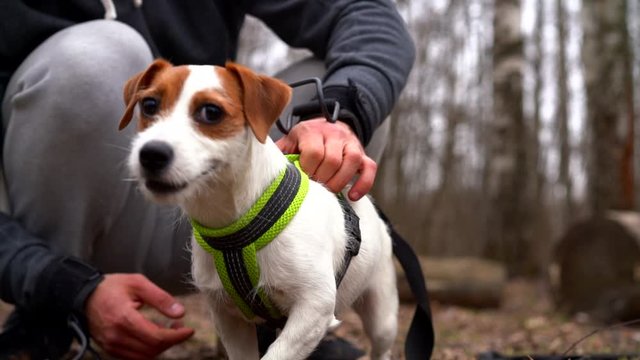 รูปภาพHaunches – เลือกดูภาพถ่ายสต็อก เวกเตอร์ และวิดีโอ43,161 | Adobe Stock