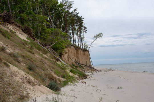 Wiselka Bilder – Durchsuchen 56 Archivfotos, Vektorgrafiken und Videos ...