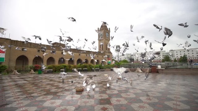 Hawler Bilder – Durchsuchen 1,407 Archivfotos, Vektorgrafiken und ...