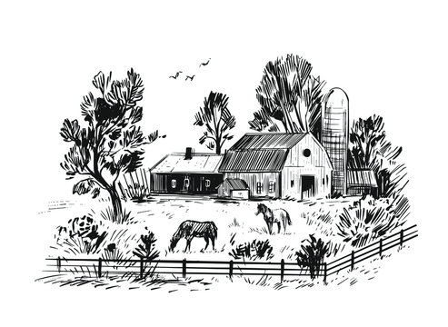 Farmland Drawing
