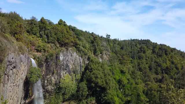 Makomako Images – Browse 1,075 Stock Photos, Vectors, and Video | Adobe ...