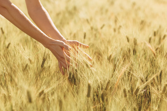 Touche Images – Browse 2,711,282 Stock Photos, Vectors, and Video ...