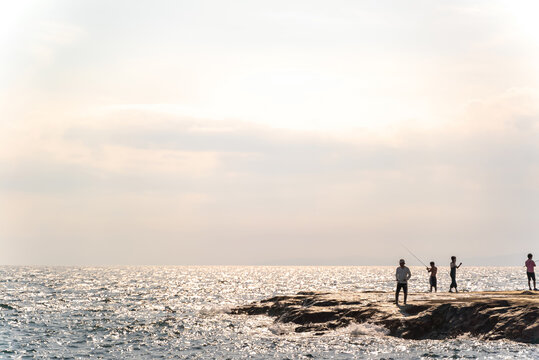 Catamite 影像 – 瀏覽 1,098 個素材庫相片、向量圖和影片 | Adobe Stock