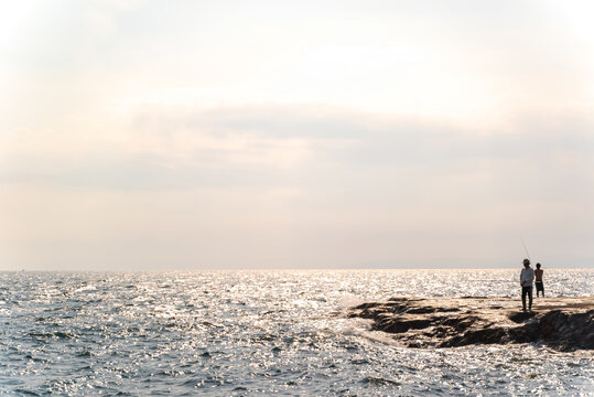 รูปภาพCatamite – เลือกดูภาพถ่ายสต็อก เวกเตอร์ และวิดีโอ1,098 | Adobe Stock