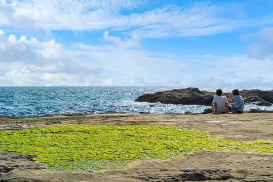 รูปภาพCatamite – เลือกดูภาพถ่ายสต็อก เวกเตอร์ และวิดีโอ1,098 | Adobe Stock