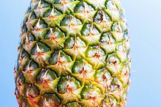 "Pineapple Texture" Bilder – Durchsuchen 227 Archivfotos ...