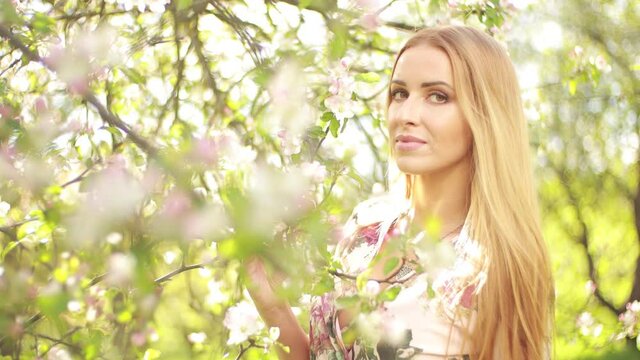 Fler Images – Browse 115 Stock Photos, Vectors, and Video | Adobe Stock