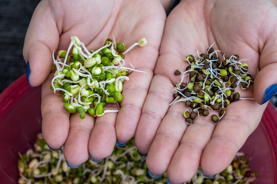 "Woman Showing" Images – Browse 151 Stock Photos, Vectors, and Video ...