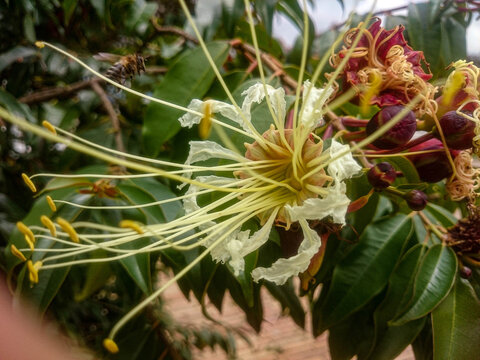 Abaje Images – Browse 5 Stock Photos, Vectors, and Video | Adobe Stock