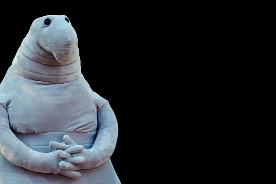 Imágenes de Homunculus: descubre bancos de fotos, ilustraciones ...