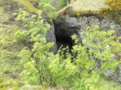 Imágenes de Alva: descubre bancos de fotos, ilustraciones, vectores y ...