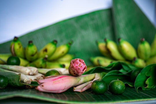 รูปภาพKantan – เลือกดูภาพถ่ายสต็อก เวกเตอร์ และวิดีโอ505 | Adobe Stock