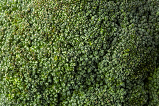 Broccoli Texture Images – Browse 25,336 Stock Photos, Vectors, and ...