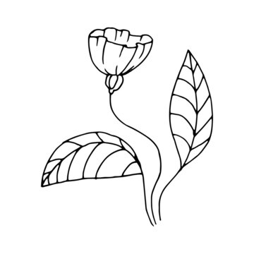 "Black Outlines" Billeder – Gennemse 298 stockfotos, vektorer og videoer | Adobe Stock