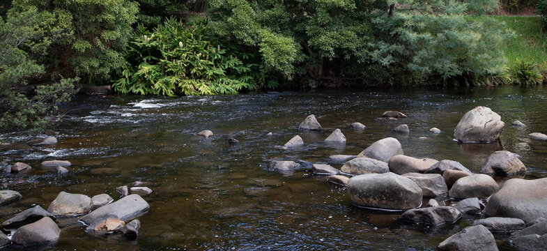 Bachstein Bilder – Durchsuchen 435,177 Archivfotos, Vektorgrafiken und ...