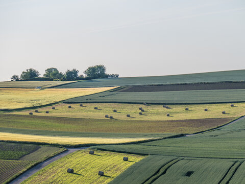 「Scheun」の写真素材 | 22件の無料イラスト画像 | Adobe Stock