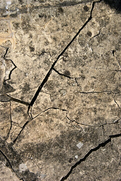 Disunite Bilder – Durchsuchen 6,647 Archivfotos, Vektorgrafiken und ...