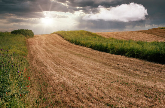 รูปภาพArato – เลือกดูภาพถ่ายสต็อก เวกเตอร์ และวิดีโอ1,100 | Adobe Stock