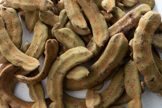 Tammarine Images – Browse 9 Stock Photos, Vectors, and Video | Adobe Stock