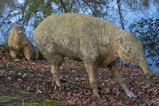 Paleotherium bilder – Bläddra bland 21 stockfoton, vektorer och videor ...
