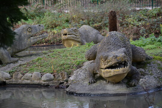 Imágenes de Labyrinthodontia: descubre bancos de fotos, ilustraciones ...