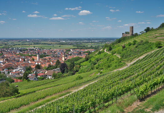 Schriesheim Bilder – Durchsuchen 433 Archivfotos, Vektorgrafiken und ...