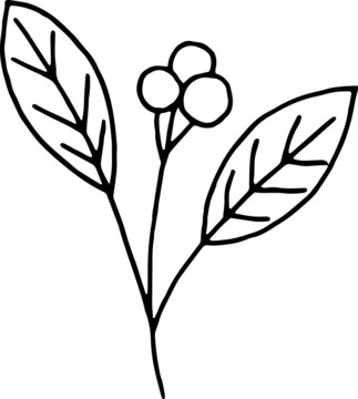 "Black Outlines" Billeder – Gennemse 298 stockfotos, vektorer og videoer | Adobe Stock