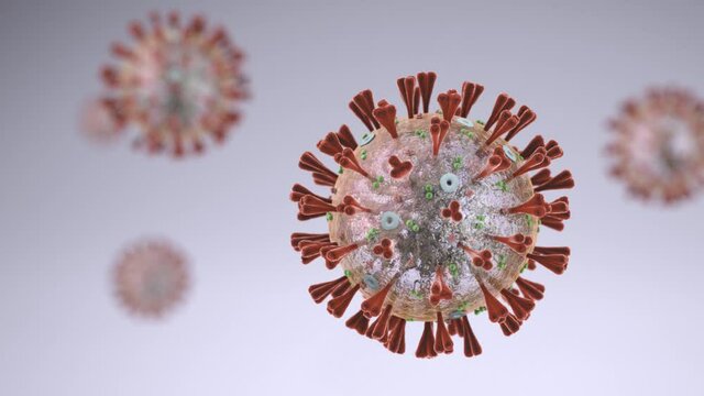 Sars-Cov-2 Images – Browse 85,267 Stock Photos, Vectors, and Video | Adobe Stock