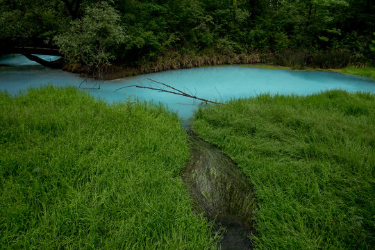 Lavino Bilder – Durchsuchen 146 Archivfotos, Vektorgrafiken und Videos ...