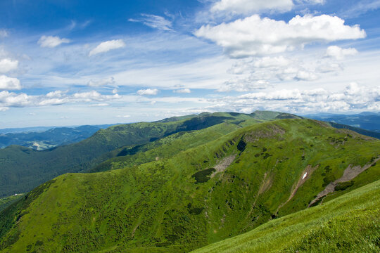 Goverla bilder – Bläddra bland 2,659 stockfoton, vektorer och videor ...