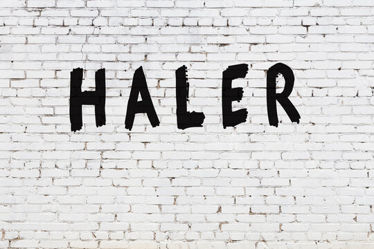 Haler 이미지 – 찾아보기 610 스톡 사진, 벡터 및 비디오 | Adobe Stock