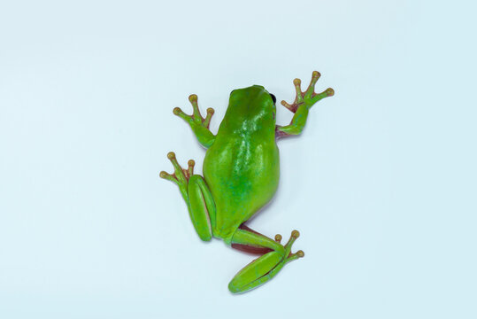 Dwi photos, images, assets | Adobe Stock