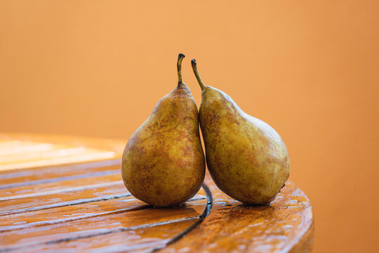 Personification Photography