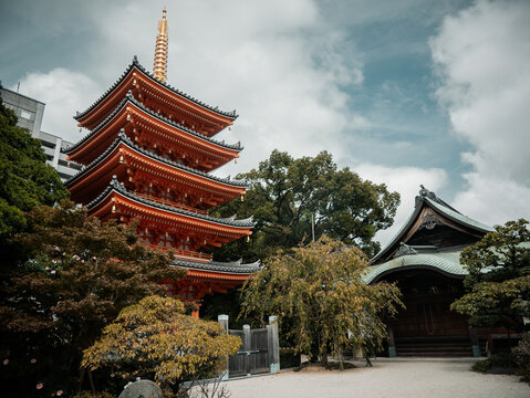 รูปภาพTocho – เลือกดูภาพถ่ายสต็อก เวกเตอร์ และวิดีโอ210 | Adobe Stock