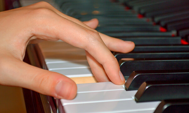 รูปภาพPianissimo – เลือกดูภาพถ่ายสต็อก เวกเตอร์ และวิดีโอ133 | Adobe Stock