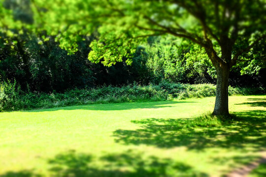 รูปภาพShaded – เลือกดูภาพถ่ายสต็อก เวกเตอร์ และวิดีโอ1,127,283 | Adobe ...